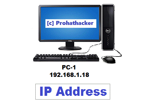 IP Address Overview
