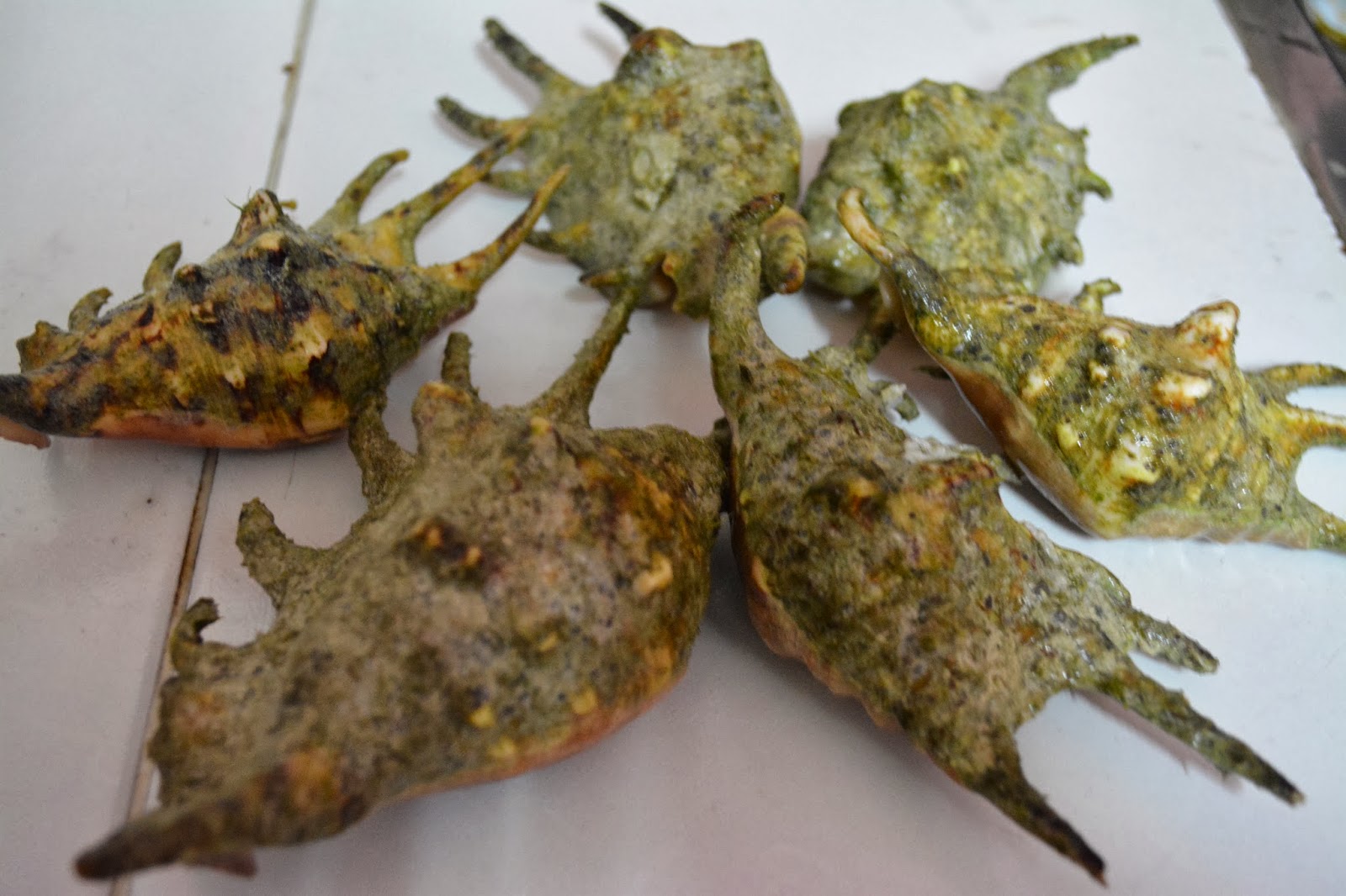 I Am Fatin :. *~: [Recipe - Sabahan] Tumis Pedas Siput Kahanga (makanan ...