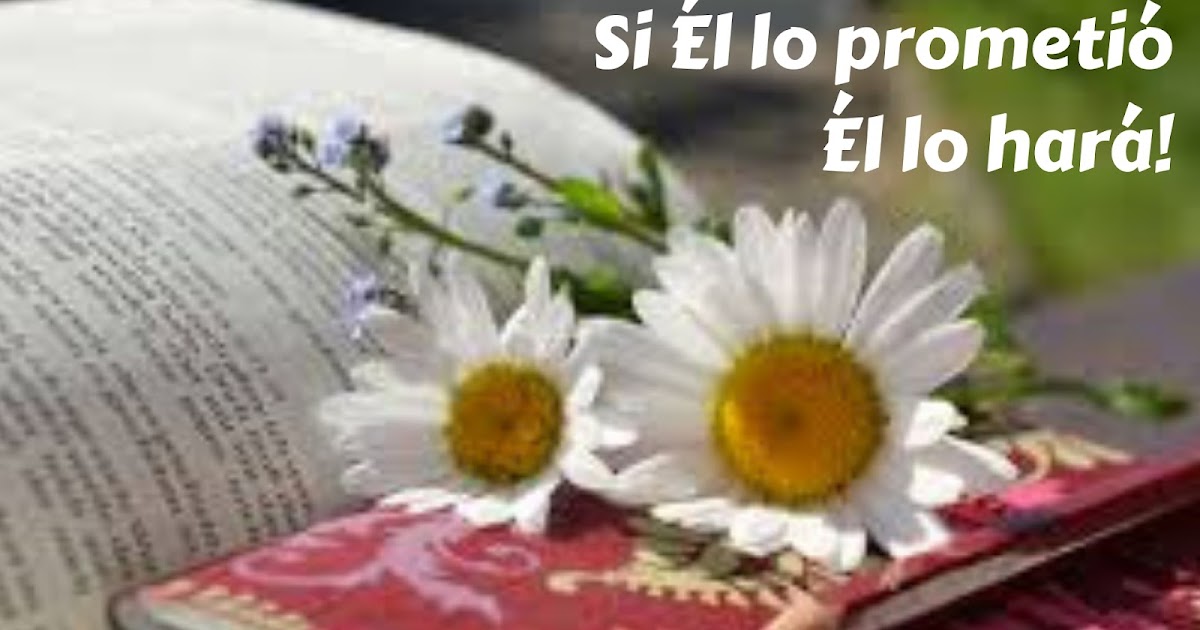 Te Haré Entender...: SI EL LO PROMETIÓ, EL LO HARÁ