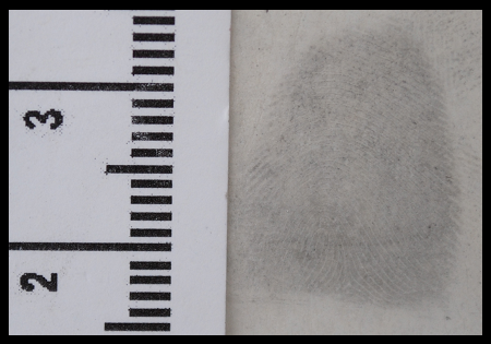 Latent Fingerprint Development Techniques: Sticky-Side Powder (SSP)