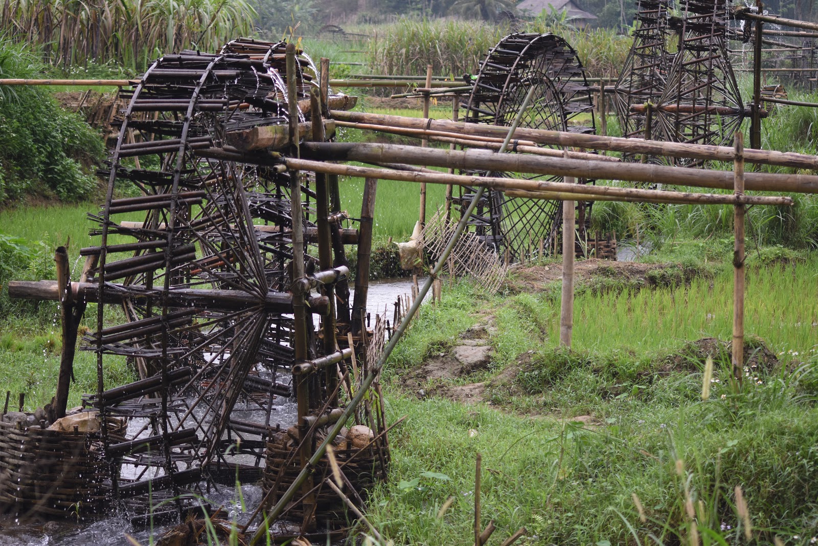 carnet de voyage: L'Irrigation des rizières