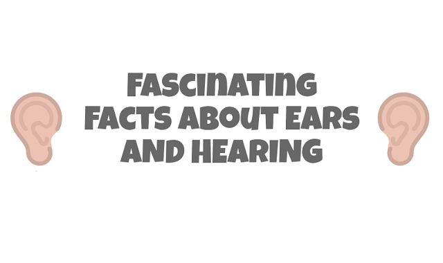 Fascinating Facts About Ears and Hearing #infographic - Visualistan