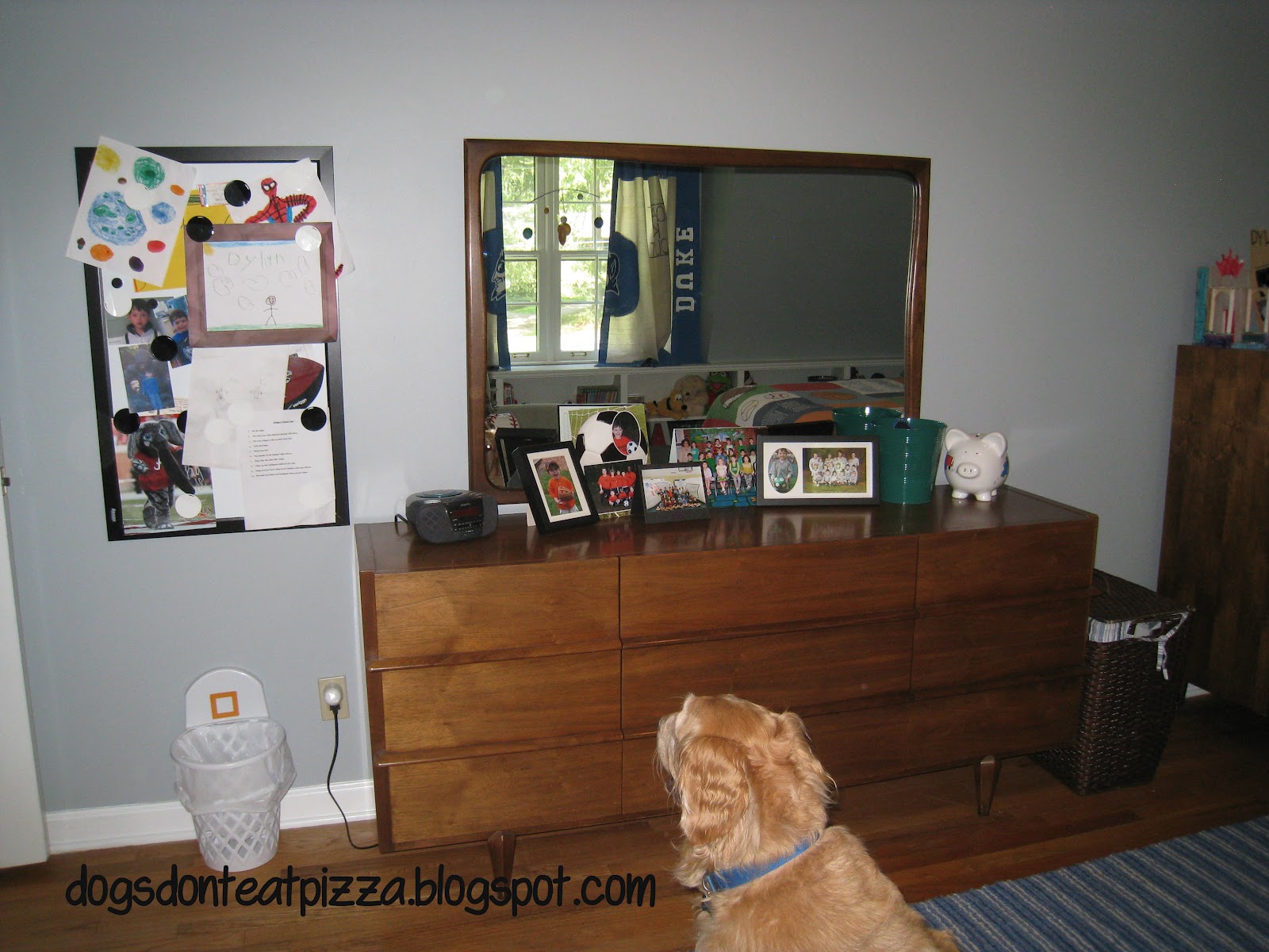 Boy's Bedroom for Sports Fan - Dogs Don't Eat Pizza