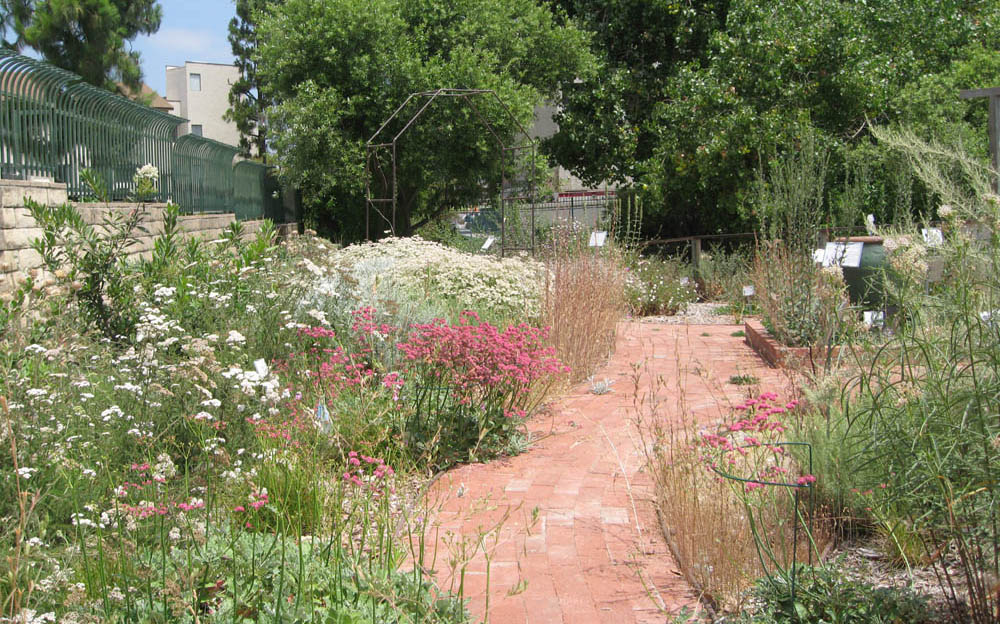 Mother Nature's Backyard - A Water-wise Garden: Designing Your ‘New ...