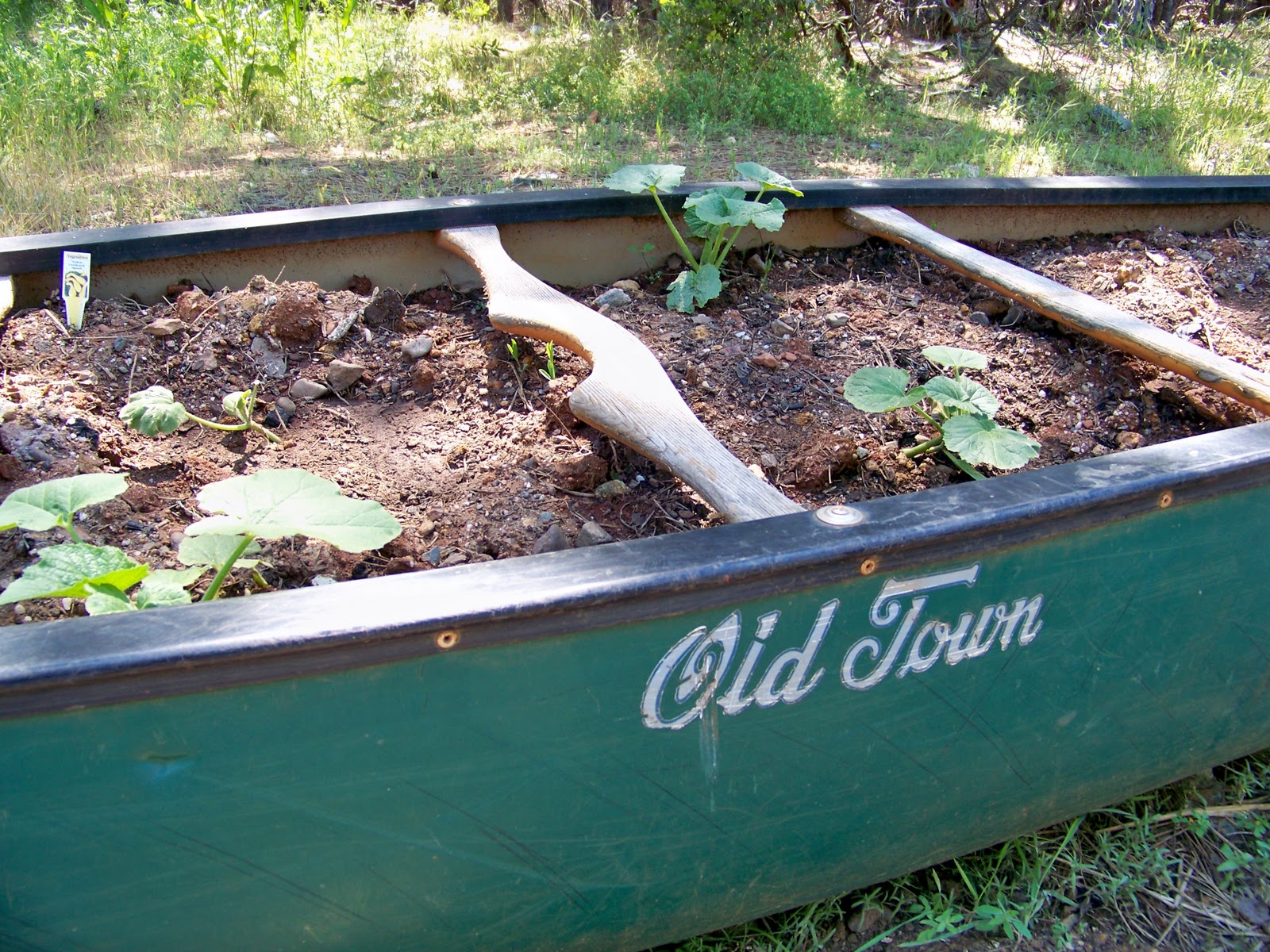 The Gardner's Dirt: Canoe Garden