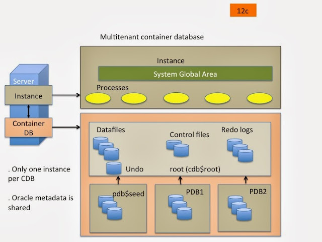 Oracle DBA - RAC & Goldengate: Oracle Database 12c Multitenant Architecture