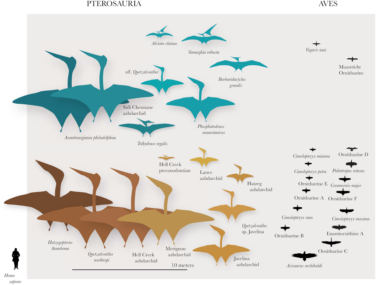 Equatorial Minnesota: Three weeks of ankylosaurs and pterosaurs
