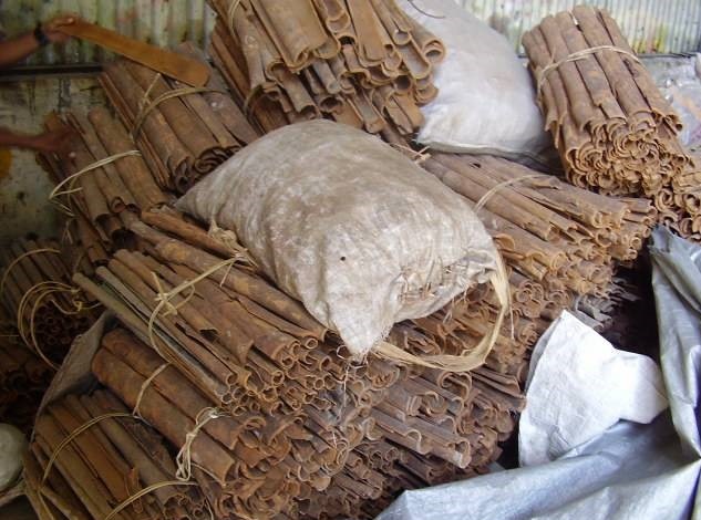 Ekonomi Papua: "Masohi" Kenapa Masyarakat Hanya Menjual Kulit Pohon-nya ...