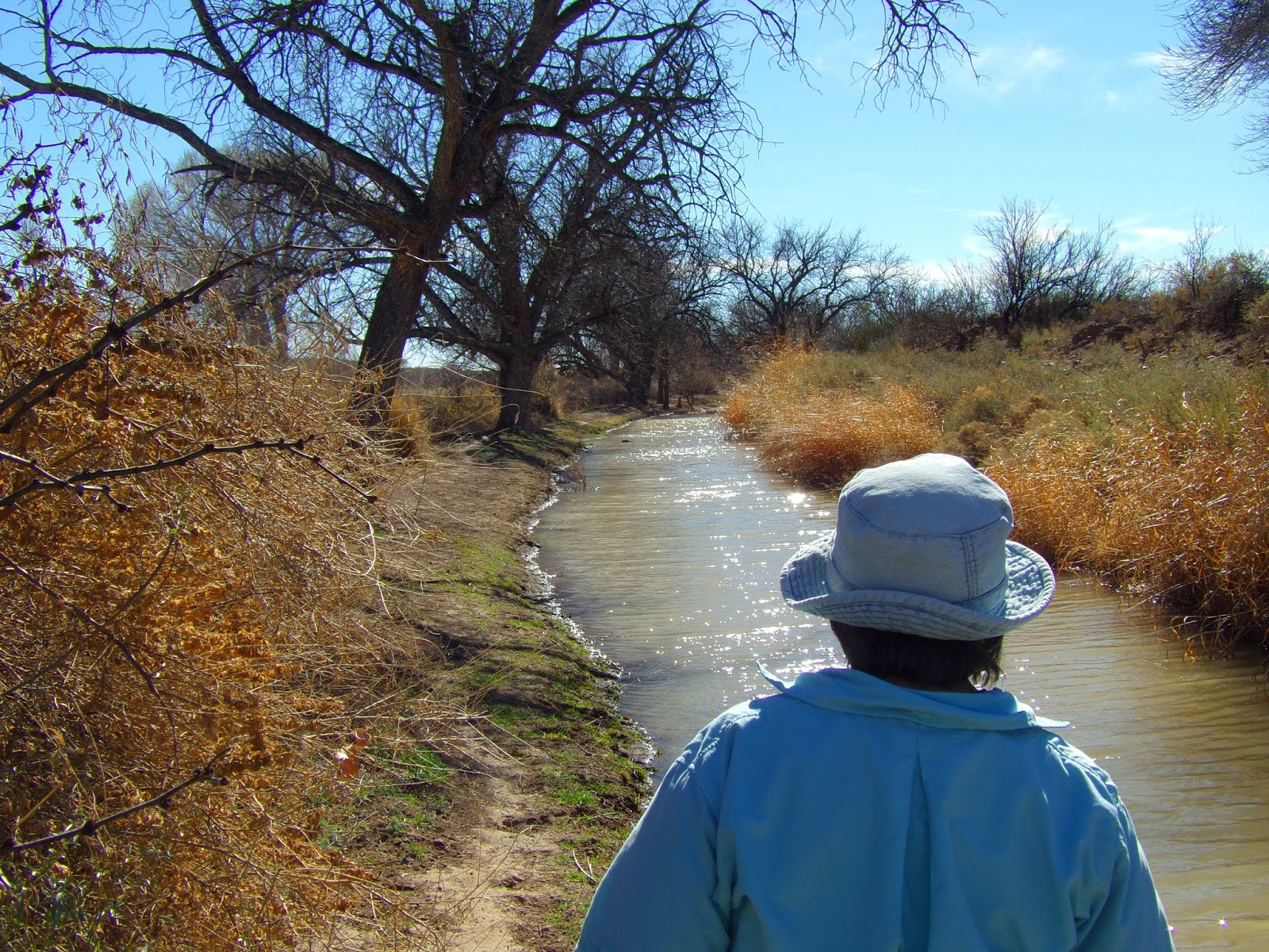 Caballo Lake State Park, New Mexico