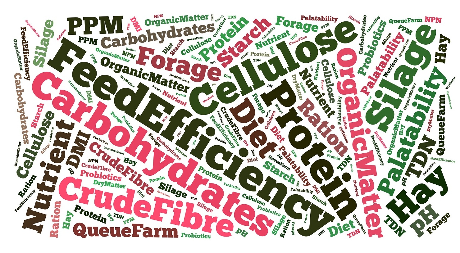 Know Your Feed Terms | Agri Gossip