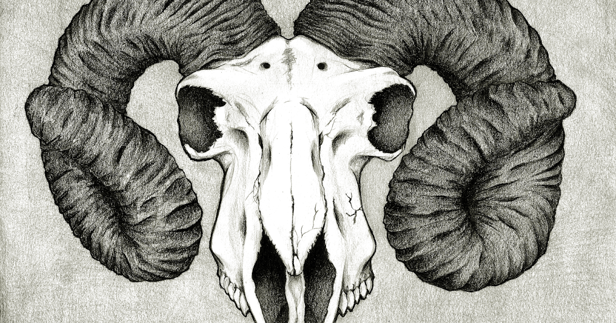 Library Hero: Real #1 : Rogi