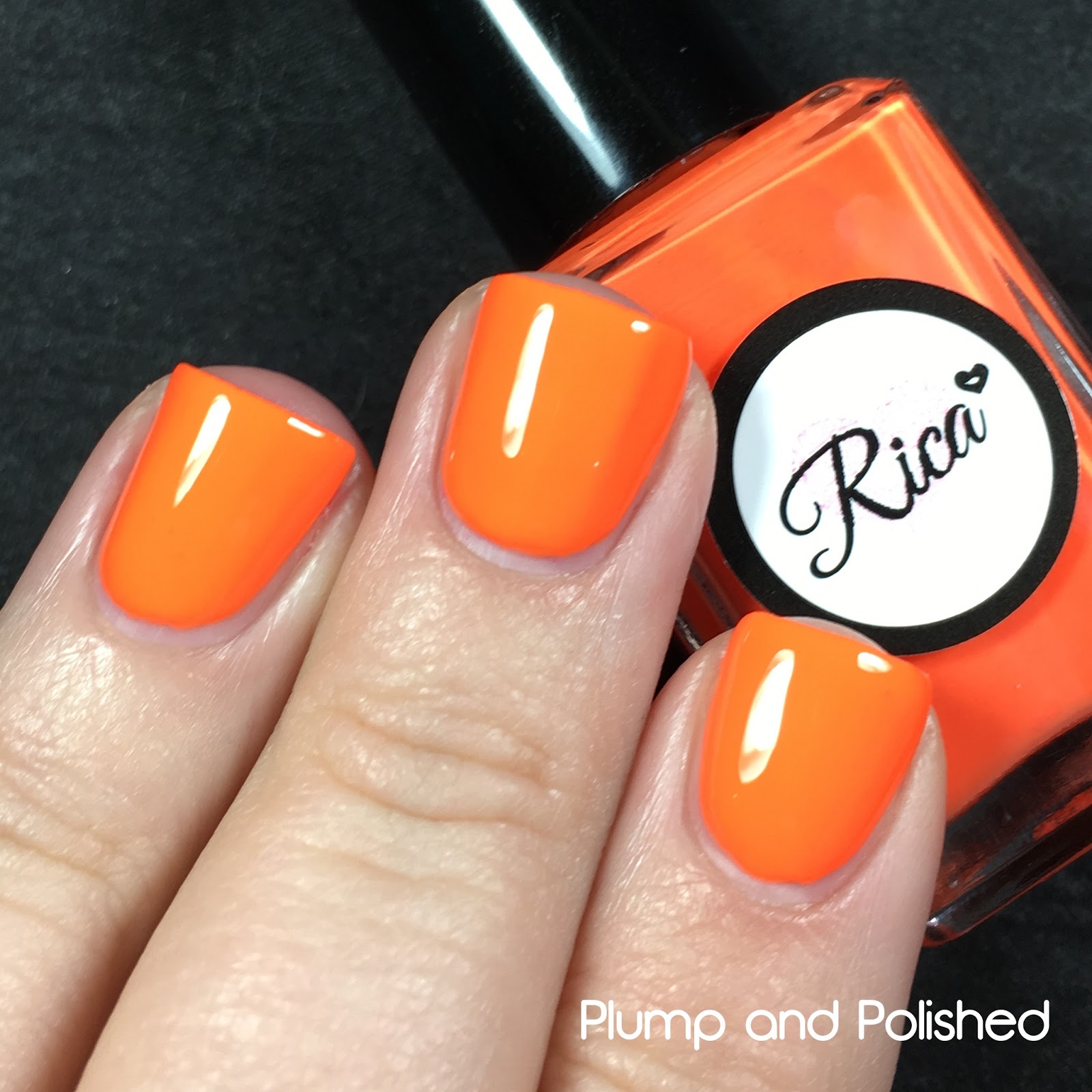 Plump and Polished: Rica - Down the Shore Collection