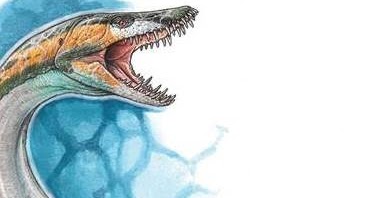 Un nuevo plesiosaurio gigante habita el Museo de Ciencias Naturales