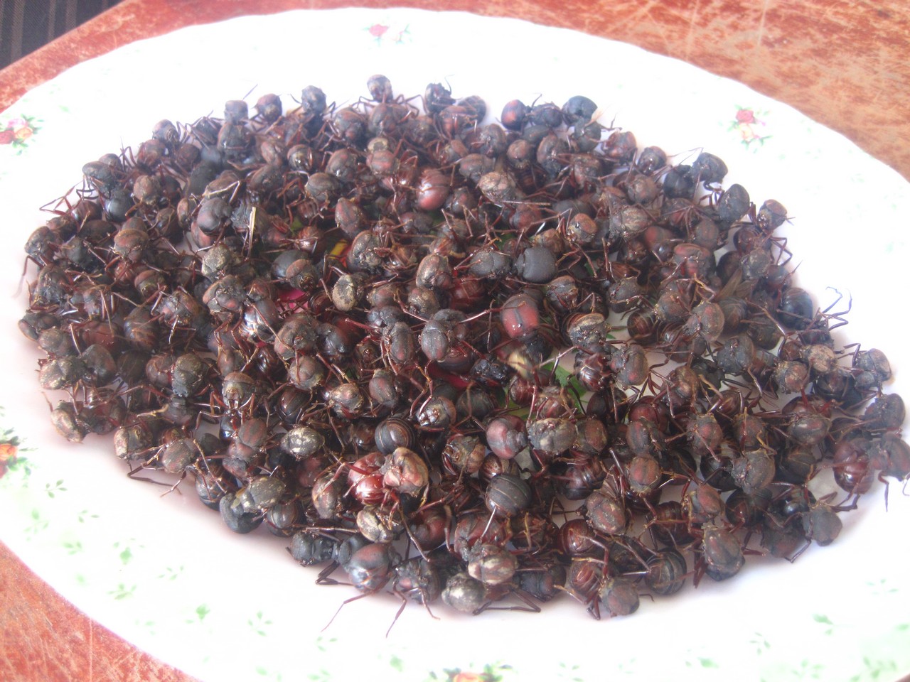 the spoke count: Iquitos, Peru to Medellin, Colombia