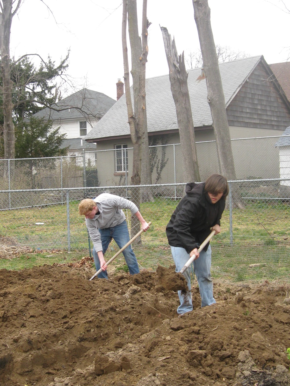 Village School Farm: 2013: A week of digging, growing, and eating at ...