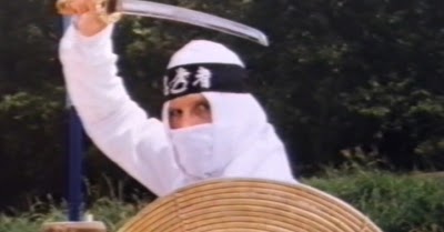 Down Among the "Z" Movies: Ninja Champion (1986)