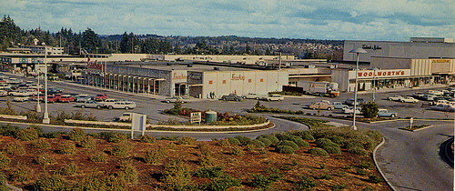 History's Dumpster: Forgotten Shopping: Remember When.....