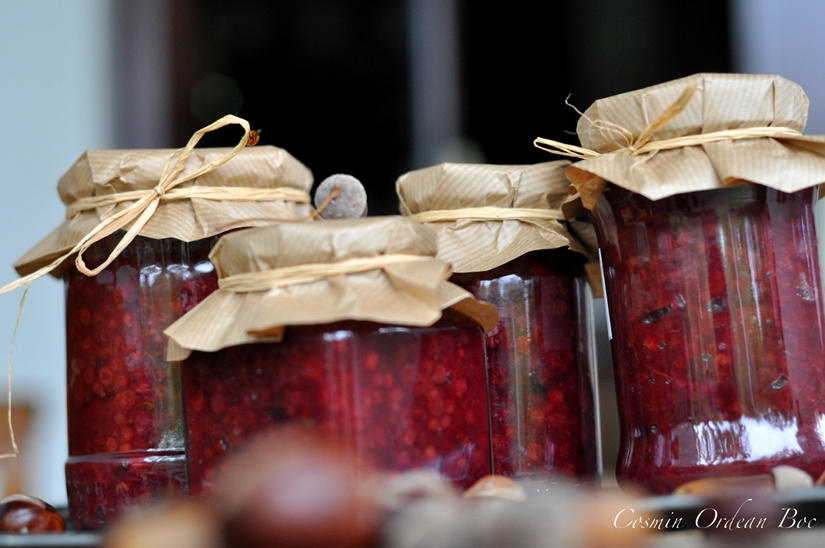 simplu si bun: Preiselbeere Konfitüre...sau gem de merisoare