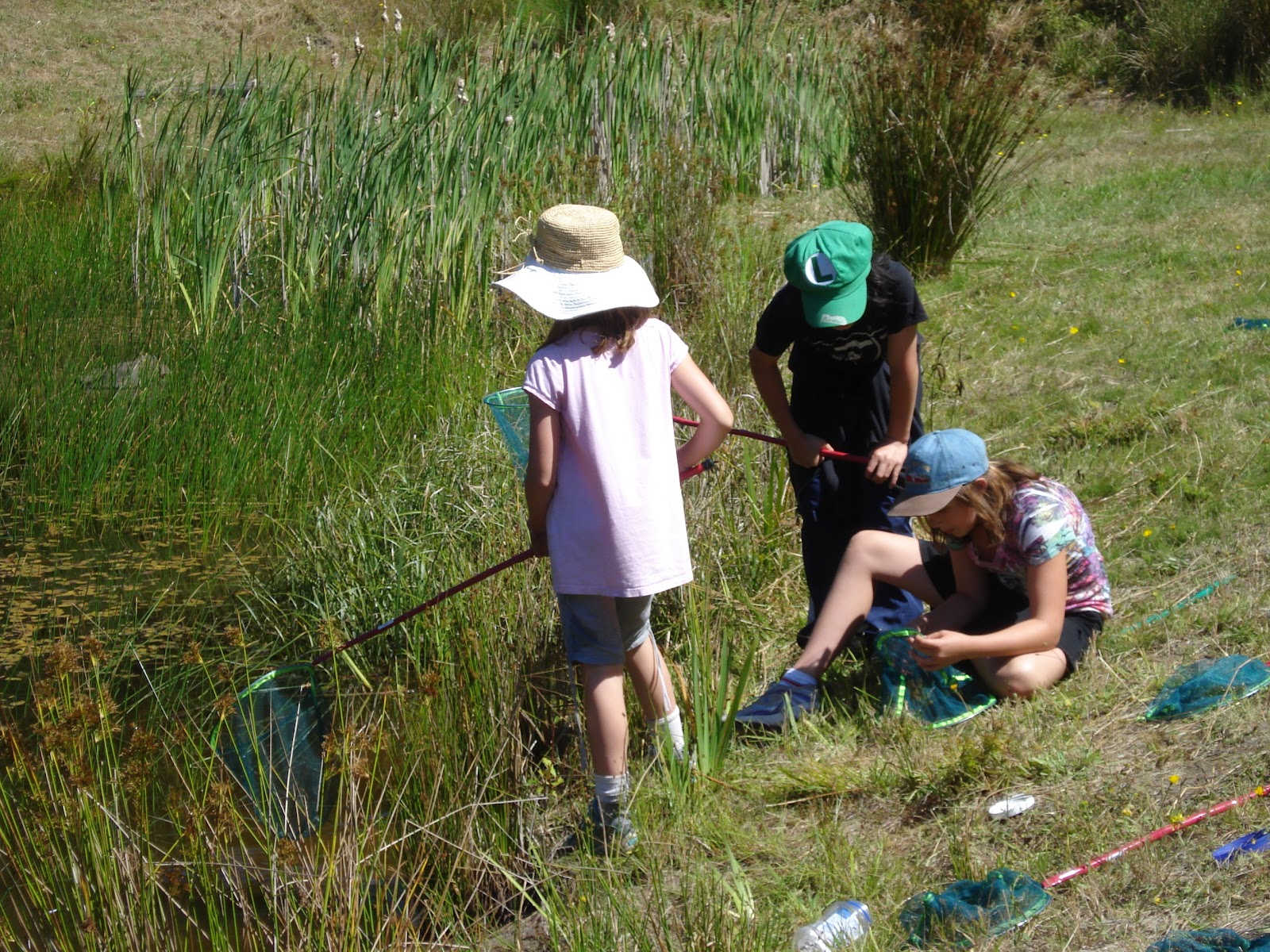 COMPASSIONATE CLIMATE ACTION: Helping Children Make Friends with the ...