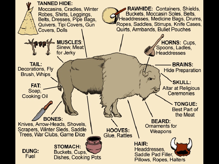 Mr. Ramirez's History Blog: Supplemental Activities: Native American ...