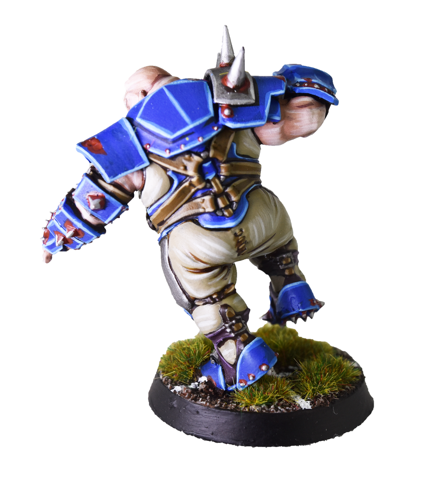 Jay's Wargaming Madness: Blood Bowl - Human Team