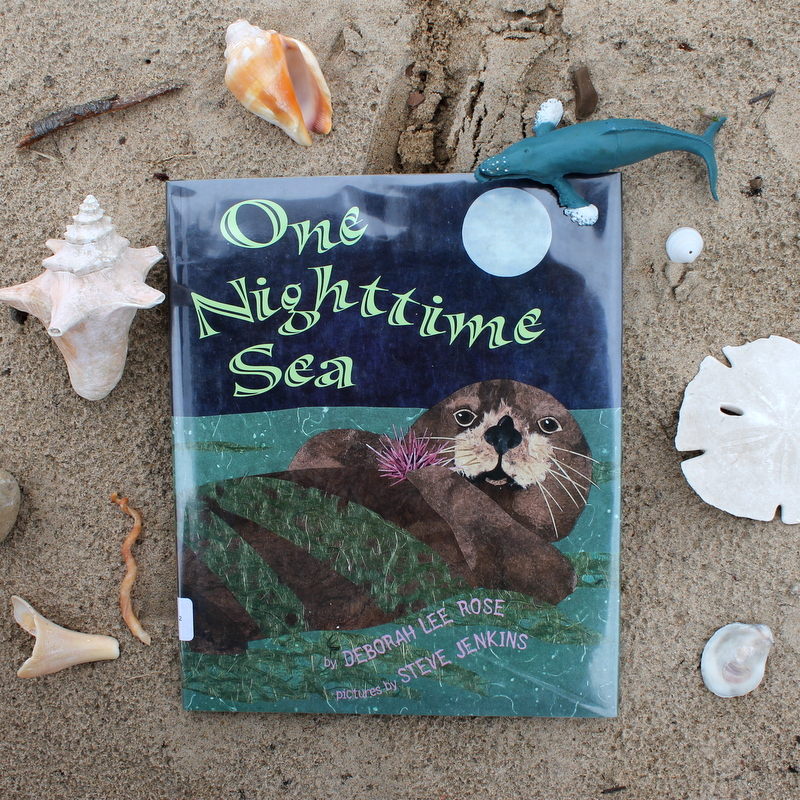 Books and Umbrellas: One Nighttime Sea by Deborah Lee Rose and Steve ...