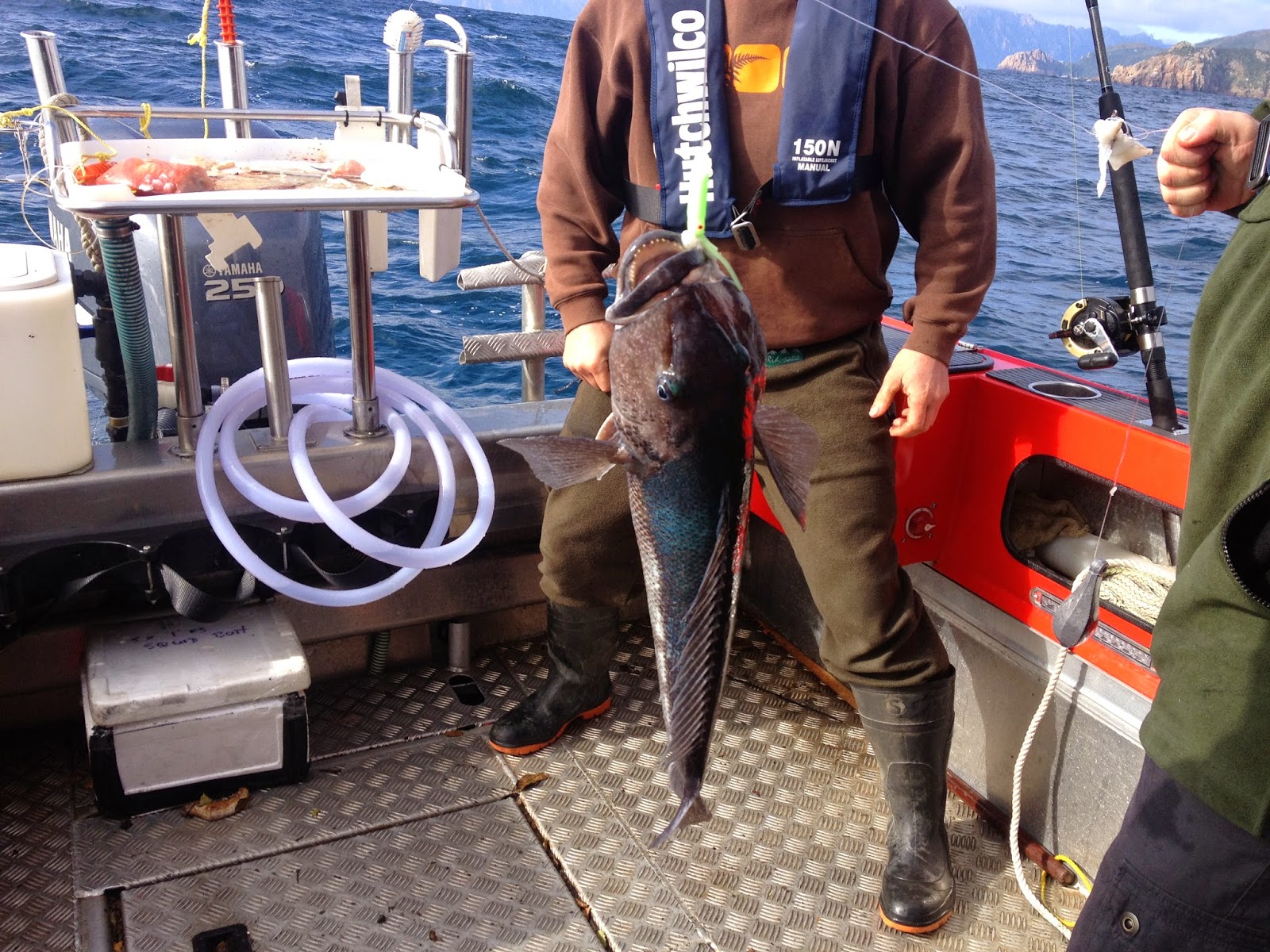 Duncan Campbell's Blogsite: Blue Cod Fishing, Stewart Island, New Zealand