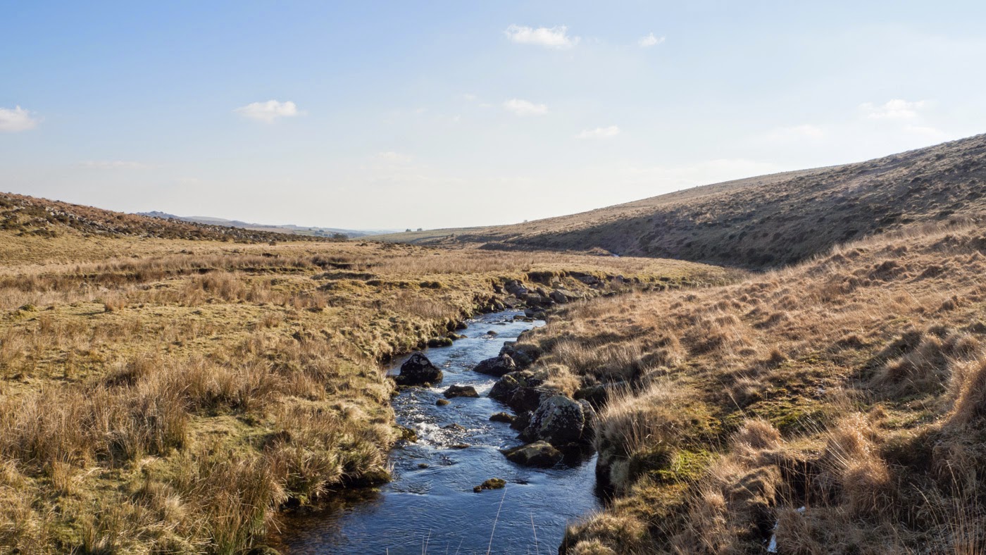 My Dartmoor Walks: Saturday 21st March River Walkham