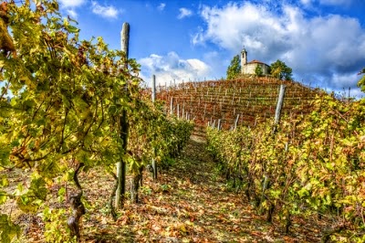 Isaiah 5: The Parable of the Vineyard