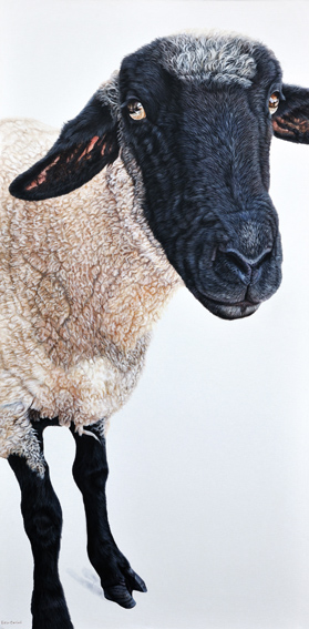 Ester Curini | Italian Animal Painter