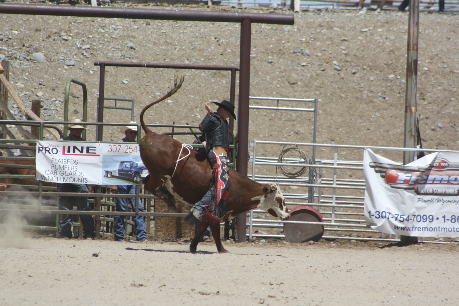 PairADice Mules: Jake Clark Mule Day Rodeo