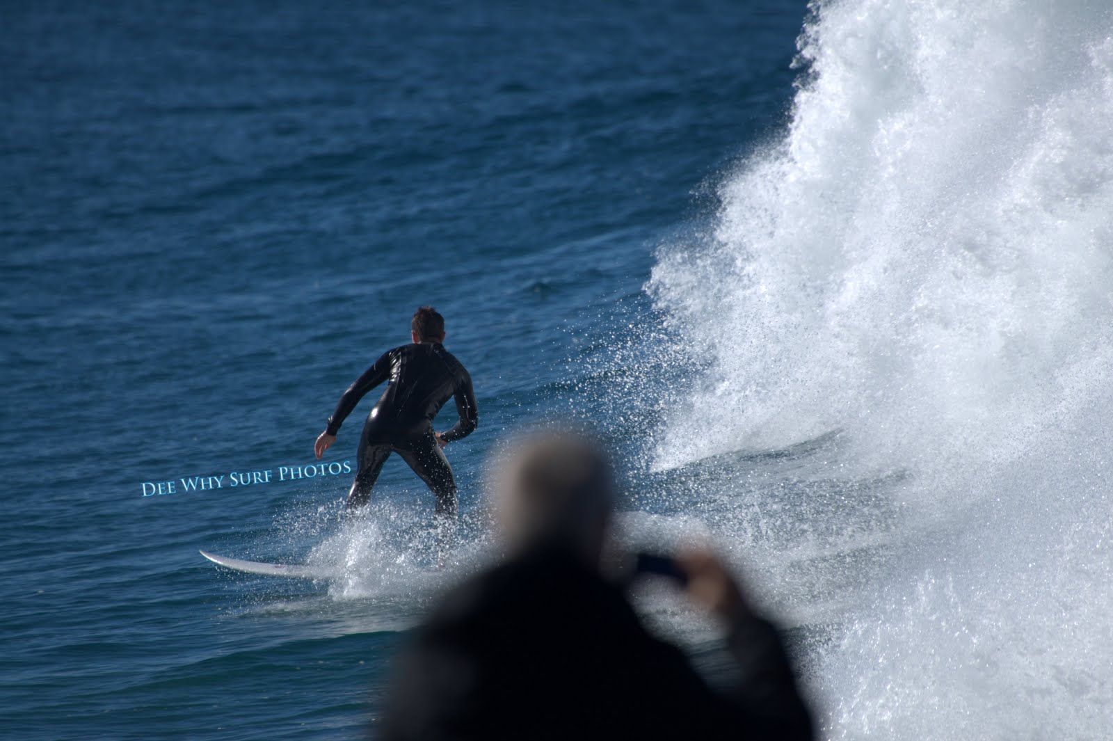 Dee Why Surf Photos