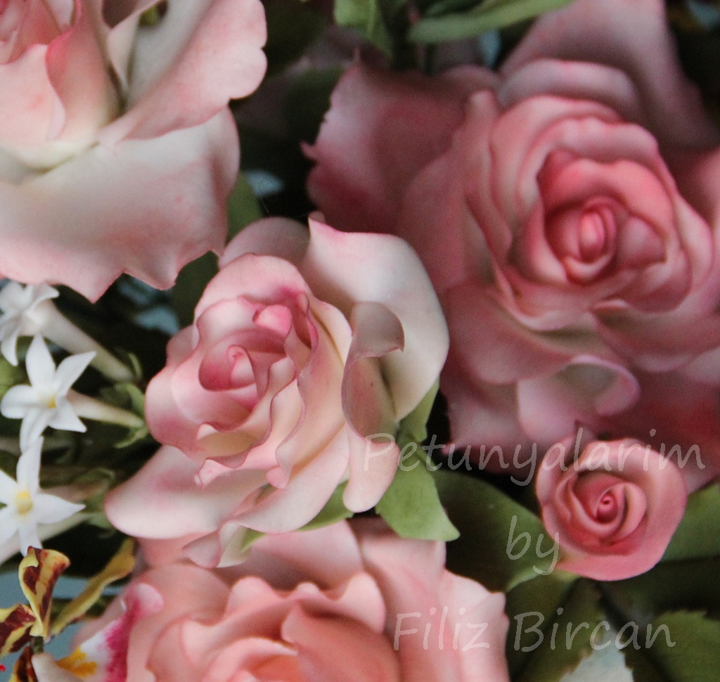 ISTANBUL´DA IKI HAFTA....:::)))) | PETUNYALARIM