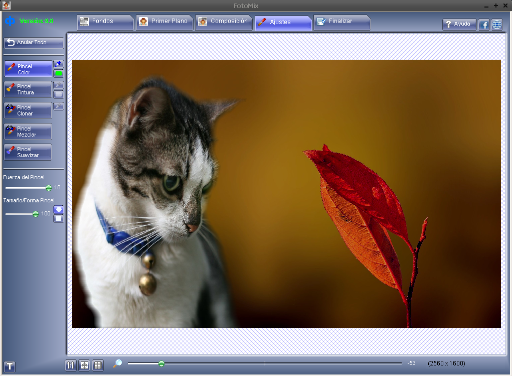 FotoMix v 9.2.7 + Portable | Consigue resultados artísticos con este ...