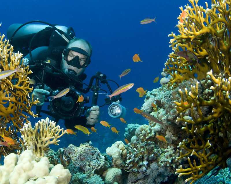 Danny Benzel Nature and Conservation Photography