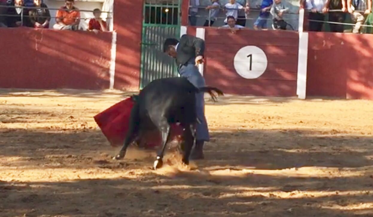 TORERIAS DE CHELIN: RESUMEN GRAFICO DEL FESTIVAL TAURINO DEL PERAL (cuenca)