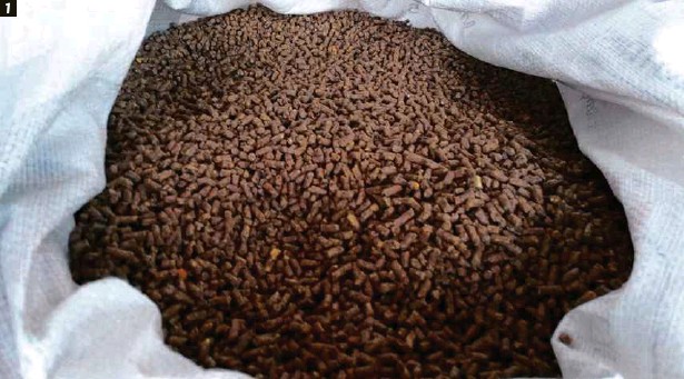 Dedak Ayam Kampung Warisan - Terowong Informasi