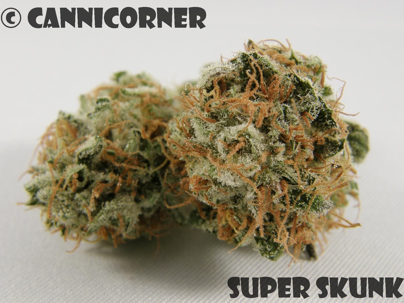 CanniCorner: Super Skunk (Skunk Strains x Afghani Ancestors)