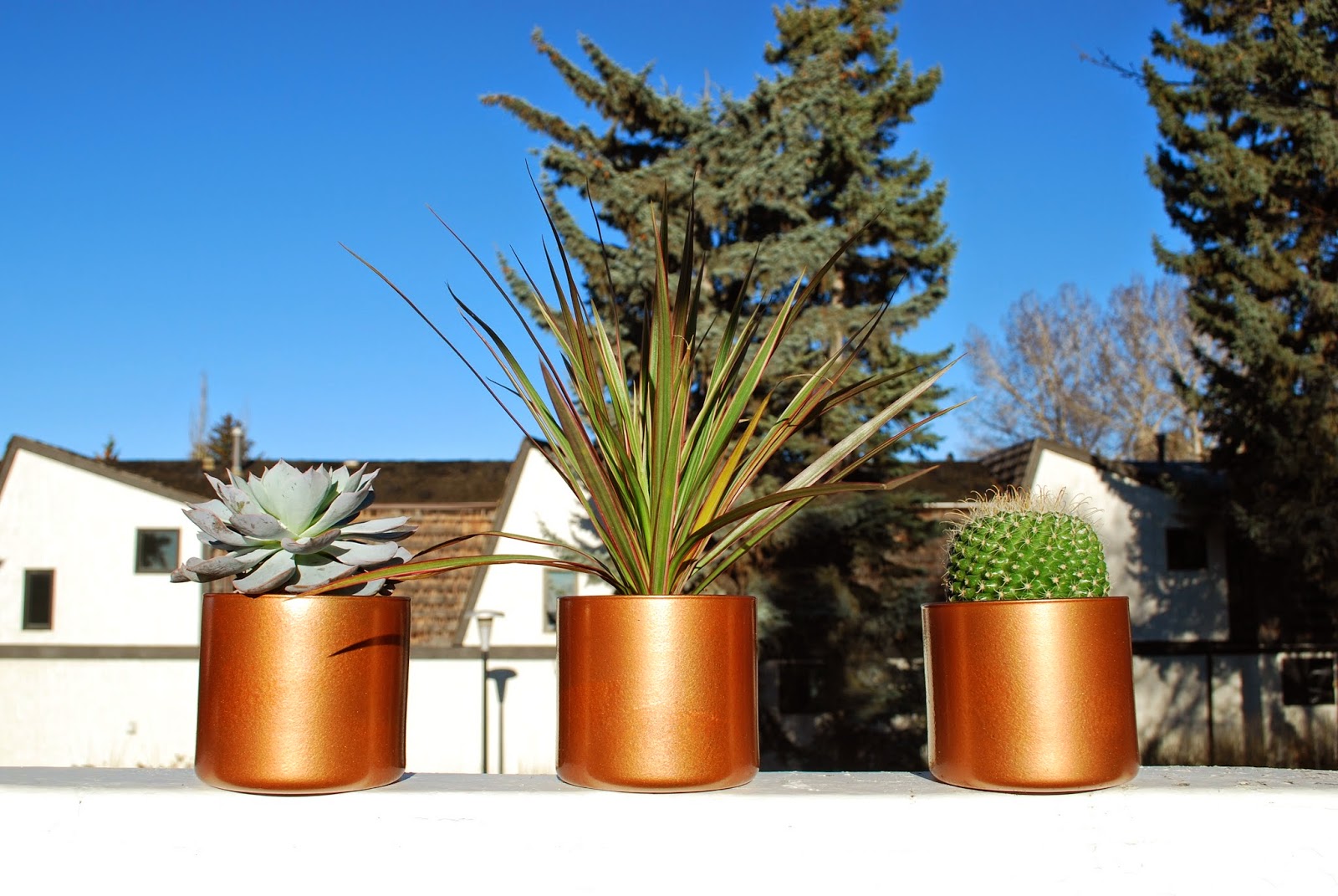 The Mavric: DIY Copper Planters