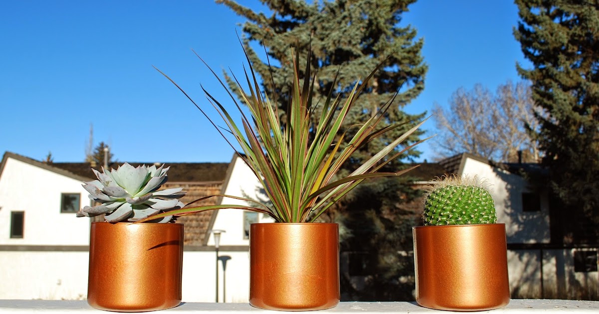 The Mavric: DIY Copper Planters