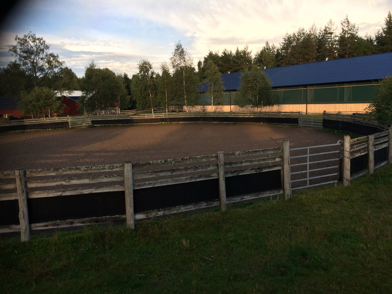 Välkommen till Open Heart Ranch!: På Ranchen