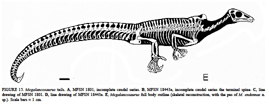 Waxing Paleontological: Monkey Lizards of the Triassic