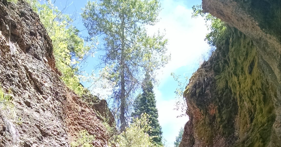 Running on Eddie: Grotto Trail Falls Hike - Payson Utah