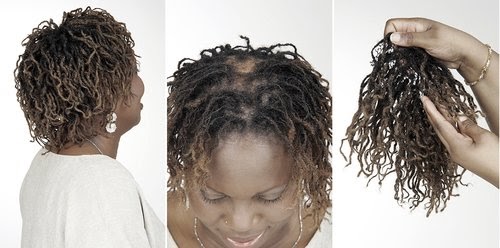 LOCSTORY: Gerrylocks