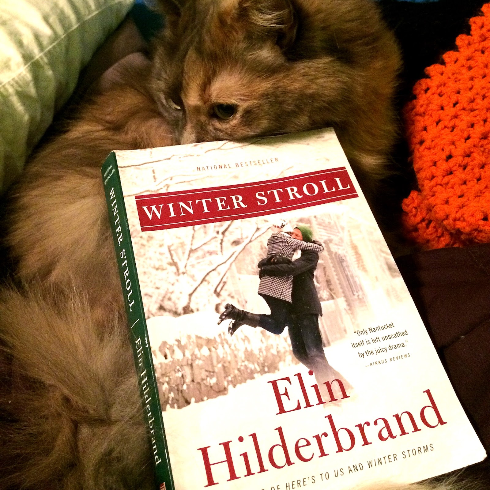 The Rad Books: Review: Winter Stroll