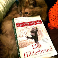 The Rad Books: Review: Winter Stroll