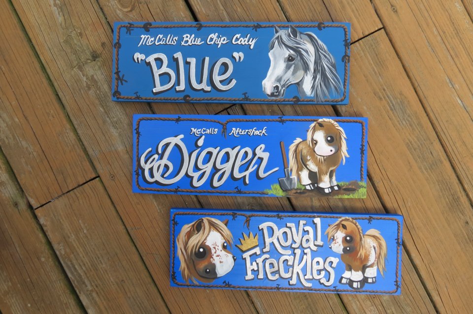 The Horse Junkie: REVIEW: Custom Stall Signs