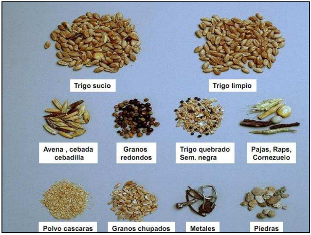Granos y Cereales. ~ Vida Saludable