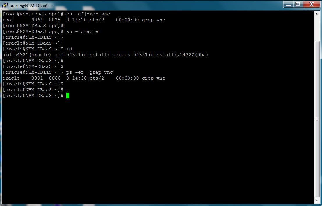 Netsoftmate Technical Blog Oracle Dbcs Configure And Use Vnc Gui On Oracle Cloud Compute Node