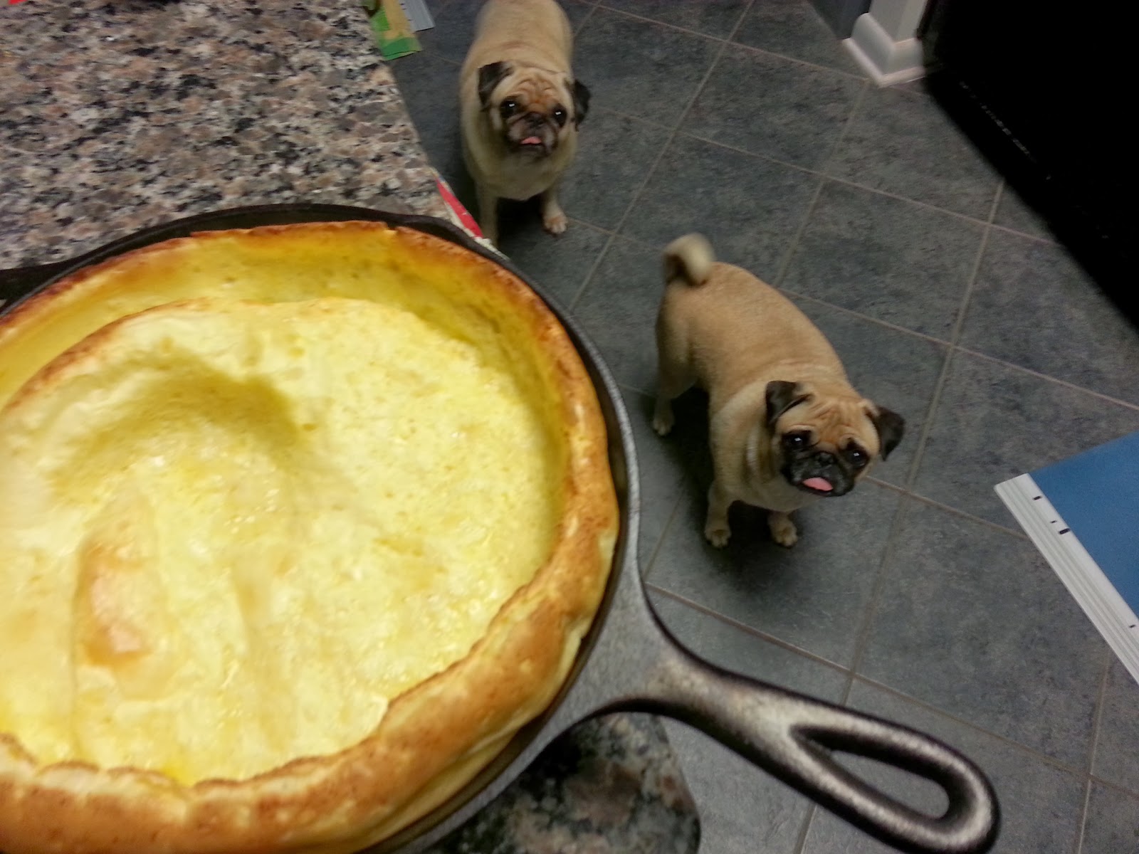 Grubbin' Pugs: Ginormous Pancake aka Dutch Baby Pancake
